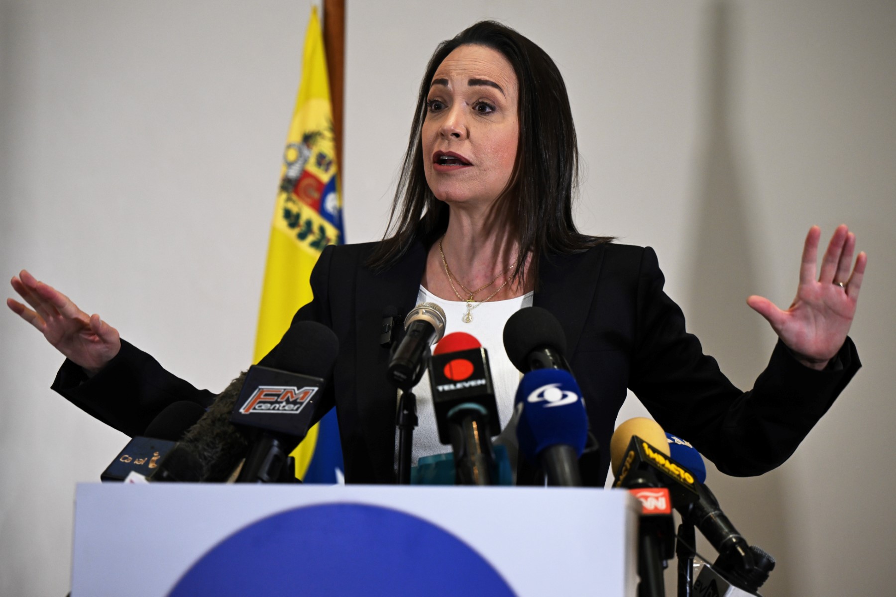 María Corina Machado: El Enigma de la "Fuerza" y Su Lucha Contra la ...